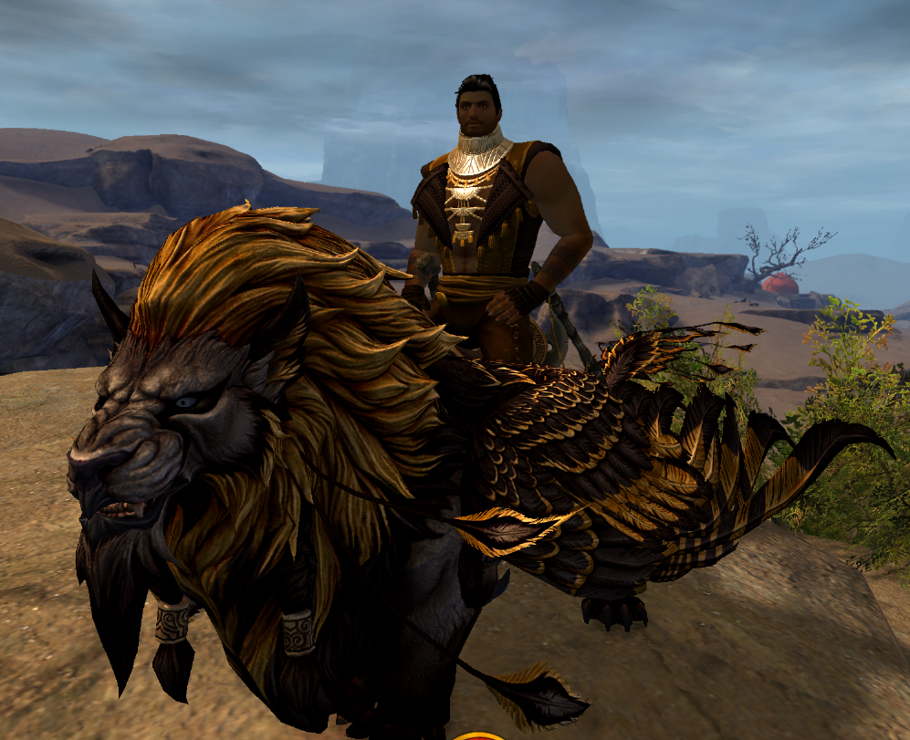 Male vs female norn necromancer : r/Guildwars2