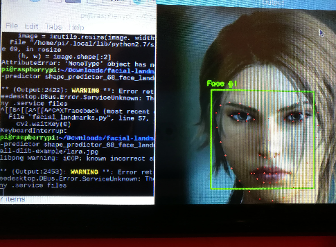 Facial Detection and recognition - Raspberry Pi Forums